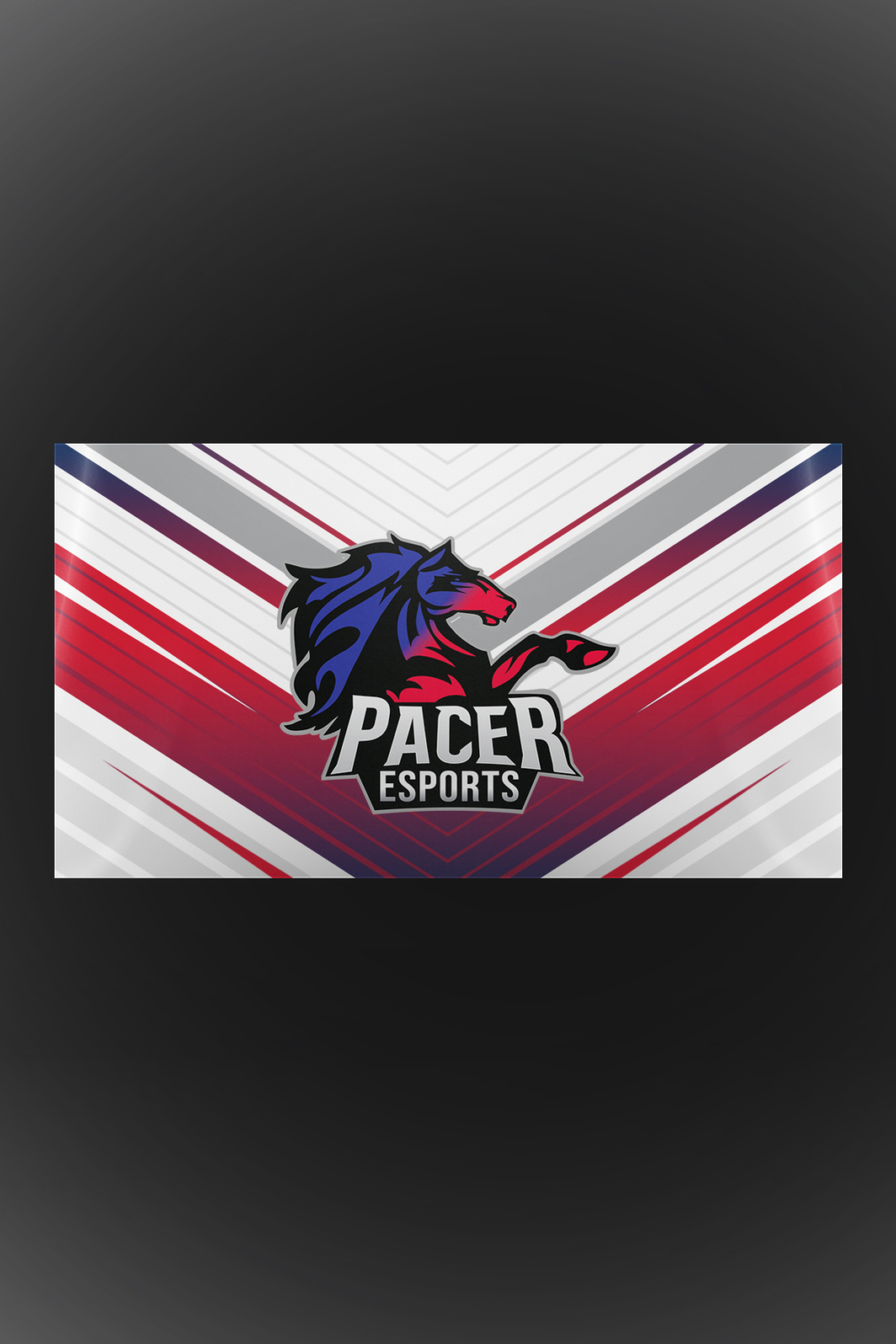 USCA Esports Flag - Akquire Clothing Co.