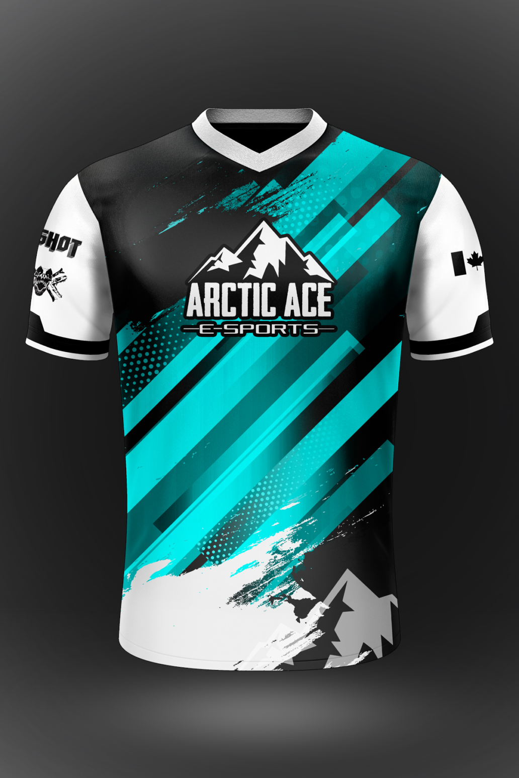 Arctic Ace Esports Pro Jersey - Akquire Clothing Co.