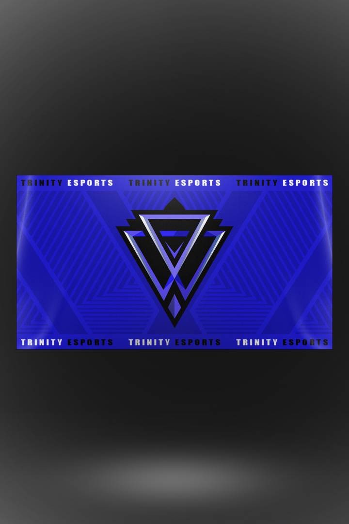 Trinity Esports Flag - Akquire