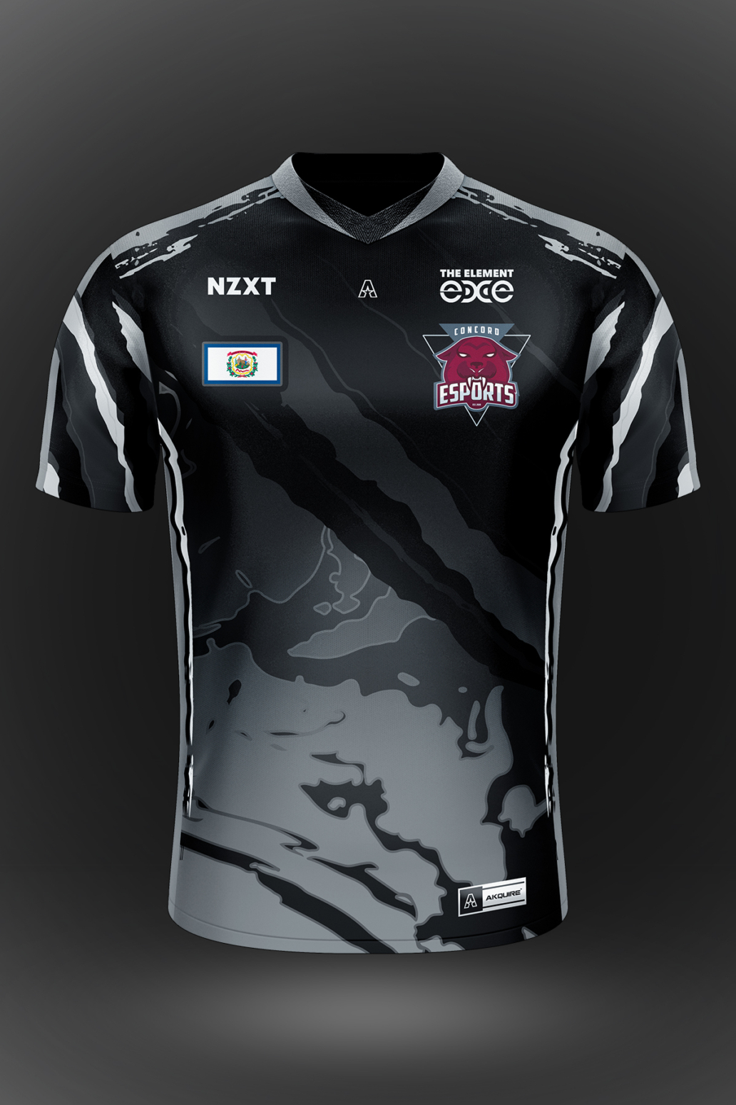 Concord University Esports Champions Pro Jersey - Akquire